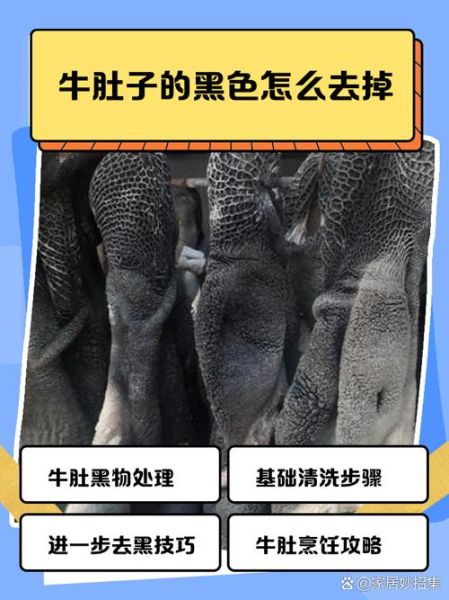 牛肚怎么洗才干净_牛肚清洗步骤图-第3张图片-山城妙识