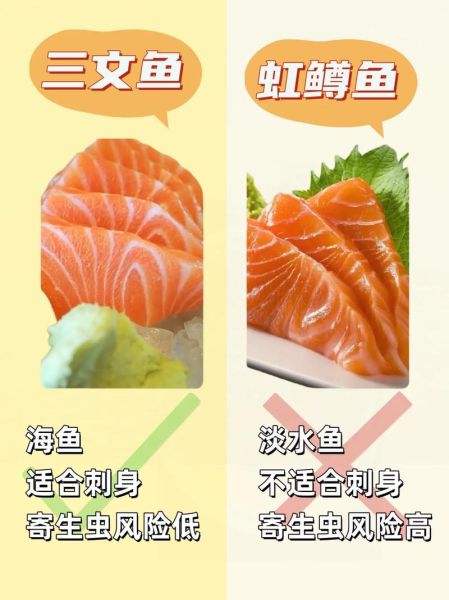 三文鱼和虹鳟鱼区别_如何分辨真假三文鱼-第1张图片-山城妙识