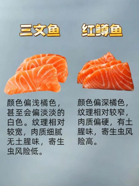 三文鱼和虹鳟鱼区别_如何分辨真假三文鱼-第2张图片-山城妙识