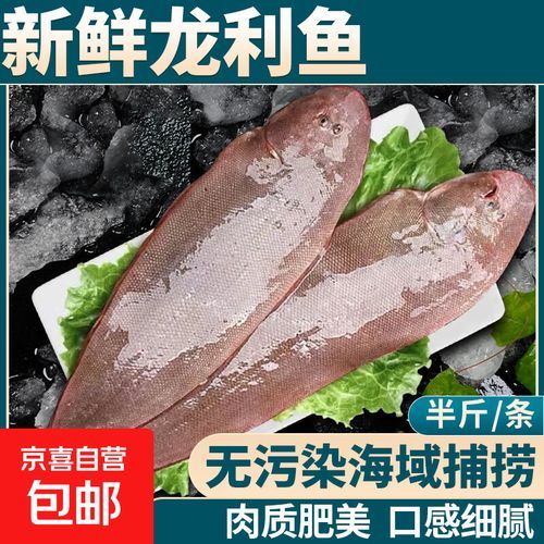 鳎米鱼是什么鱼_鳎米鱼多少钱一斤-第2张图片-山城妙识