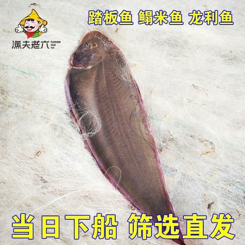 鳎米鱼是什么鱼_鳎米鱼多少钱一斤-第1张图片-山城妙识