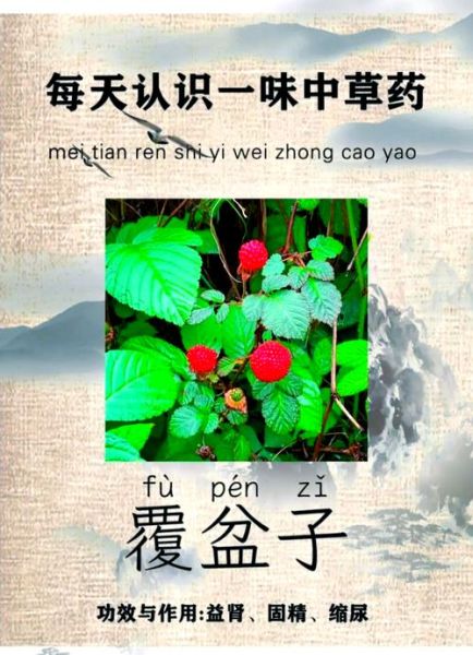 覆盆子图片作用与功效_覆盆子图片有什么功效-第3张图片-山城妙识
