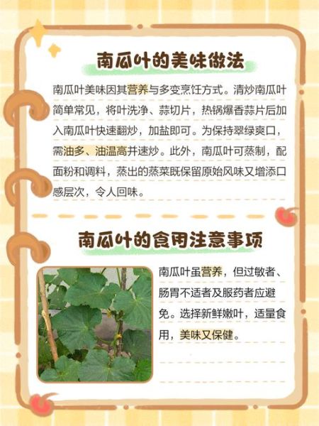 南瓜叶怎么吃_南瓜叶的做法大全-第2张图片-山城妙识