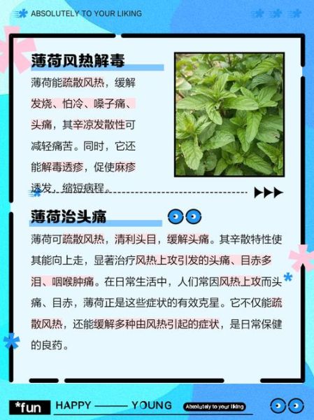 薄荷的副作用有哪些_薄荷什么人不能吃-第3张图片-山城妙识