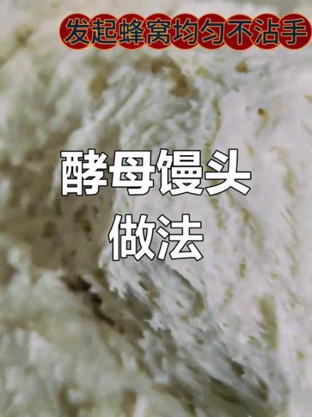老面馒头怎么做_老面发酵失败怎么办-第1张图片-山城妙识
