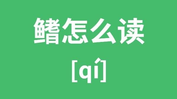 鳍怎么读_鳍是什么意思-第1张图片-山城妙识