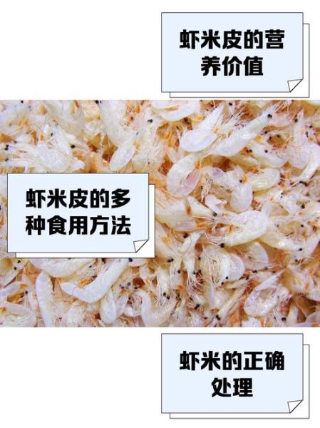 虾米皮怎么保存_虾米皮营养价值高吗-第1张图片-山城妙识