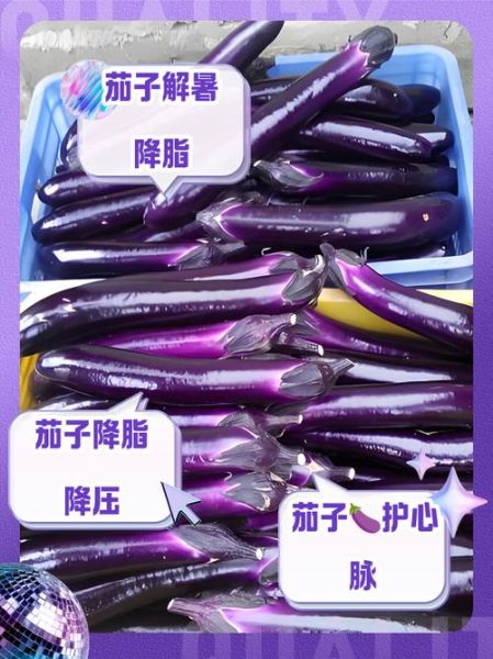 茄子怎么做好吃_茄子的营养价值-第3张图片-山城妙识