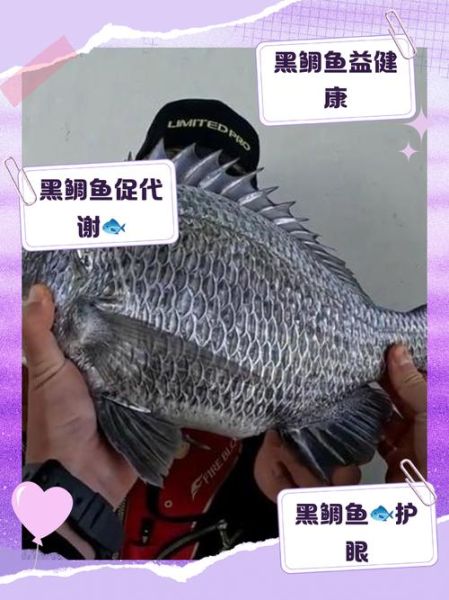 黑鲷鱼怎么做好吃_清蒸黑鲷鱼的做法步骤-第1张图片-山城妙识 黑鲷鱼怎么做好吃_清蒸黑鲷鱼的做法步骤-第1张图片-山城妙识