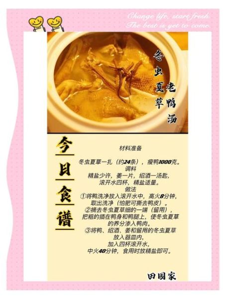 虫草老鸭汤怎么做_虫草老鸭汤炖多久最好-第1张图片-山城妙识