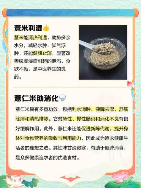 薏仁米怎么煮_薏仁米可以天天吃吗-第3张图片-山城妙识