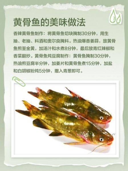 黄骨鱼小孩吃了变弱智_是真的吗-第3张图片-山城妙识 黄骨鱼小孩吃了变弱智_是真的吗-第3张图片-山城妙识