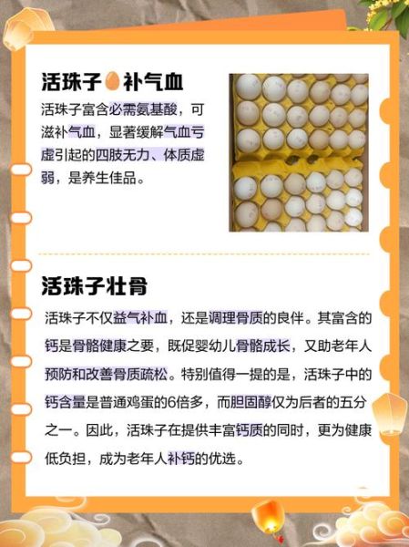 活珠子什么人不能吃_孕妇能吃活珠子吗-第1张图片-山城妙识 活珠子什么人不能吃_孕妇能吃活珠子吗-第1张图片-山城妙识
