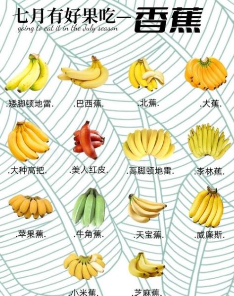香蕉有哪些品种_香蕉六大种类区别-第2张图片-山城妙识 香蕉有哪些品种_香蕉六大种类区别-第2张图片-山城妙识