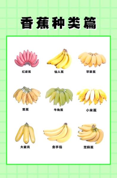 香蕉有哪些品种_香蕉六大种类区别-第3张图片-山城妙识 香蕉有哪些品种_香蕉六大种类区别-第3张图片-山城妙识
