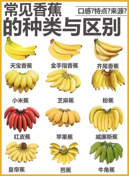 香蕉有哪些品种_香蕉六大种类区别-第1张图片-山城妙识 香蕉有哪些品种_香蕉六大种类区别-第1张图片-山城妙识