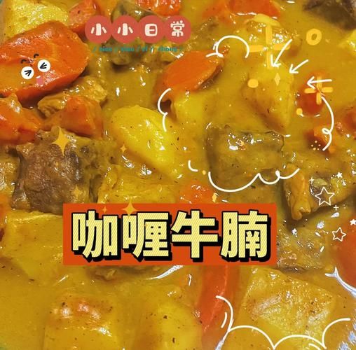 咖喱牛肉块怎么做_咖喱牛肉块用高压锅还是慢炖-第1张图片-山城妙识