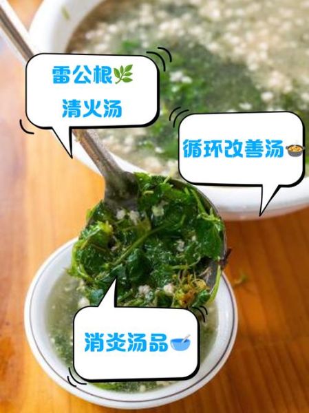 雷公根煲鸡汤的功效_孕妇能喝雷公根鸡汤吗-第2张图片-山城妙识