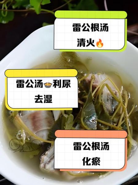 雷公根煲鸡汤的功效_孕妇能喝雷公根鸡汤吗-第1张图片-山城妙识