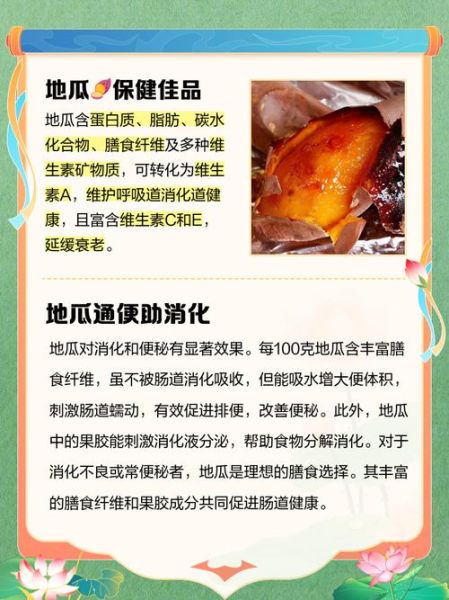野地瓜的功效与作用_野地瓜怎么吃最好-第3张图片-山城妙识