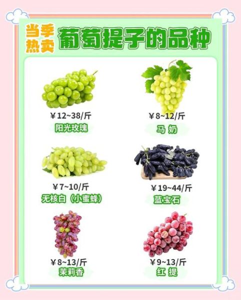 葡萄和提子的区别_哪个更营养-第3张图片-山城妙识