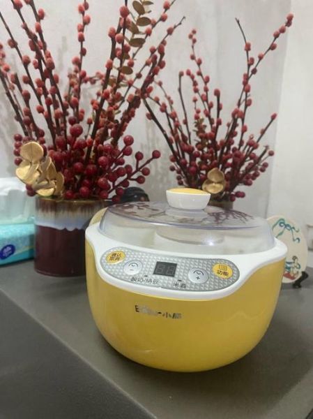 酸奶机可以做哪些食物_酸奶机除了酸奶还能做什么-第2张图片-山城妙识
