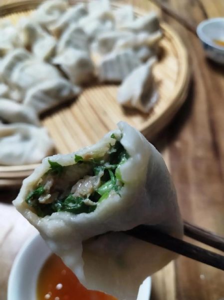 茼蒿鸡蛋饺子怎么调馅_茼蒿鸡蛋饺子好吃吗-第1张图片-山城妙识