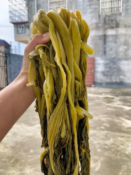 酸菜怎么腌制才脆_酸菜做法大全家常-第2张图片-山城妙识