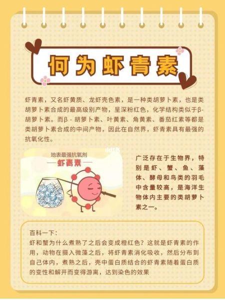 虾青素的功效与作用禁忌_哪些人不能吃-第3张图片-山城妙识