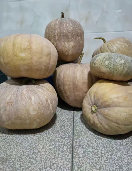 南瓜酱热量高吗_南瓜酱减肥能吃吗-第2张图片-山城妙识