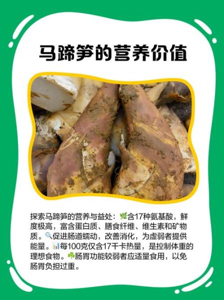 马蹄竹笋怎么做好吃_马蹄竹笋的营养价值-第2张图片-山城妙识