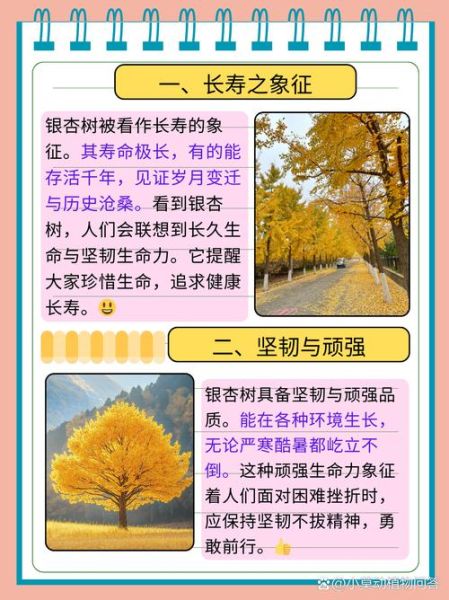 银杏树寓意是什么_银杏树风水作用-第1张图片-山城妙识