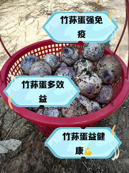 竹荪蛋怎么做好吃_竹荪蛋食用禁忌有哪些-第1张图片-山城妙识