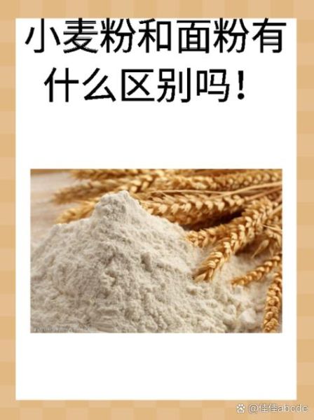 生粉是什么粉_生粉和小麦淀粉一样吗-第3张图片-山城妙识