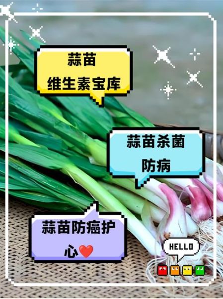 蒜苗吃多了有什么副作用_蒜苗吃多了会上火吗-第1张图片-山城妙识