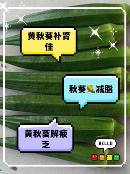黄秋葵补肾吗_黄秋葵壮阳效果怎么样-第1张图片-山城妙识