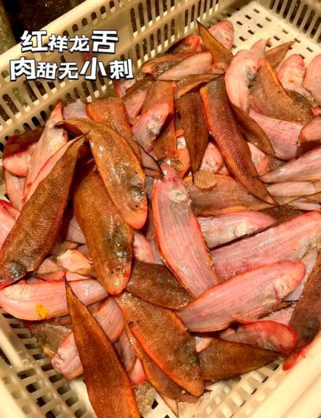 龙舌鱼图片_龙舌鱼怎么做好吃-第1张图片-山城妙识