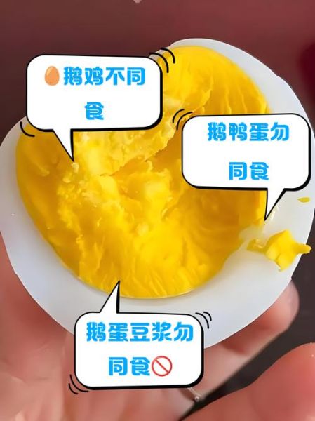 鹅蛋和什么不能一起吃_鹅蛋相克食物有哪些-第2张图片-山城妙识