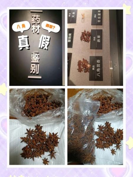 莽草和八角的区别_如何一眼识别真假八角-第1张图片-山城妙识