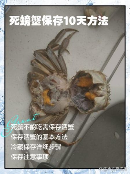 珍宝蟹死了可以吃吗_如何判断新鲜度-第1张图片-山城妙识