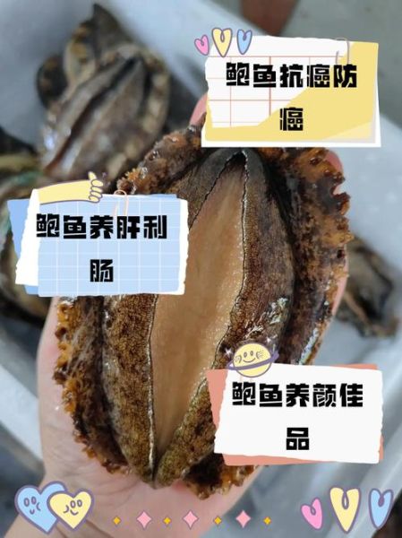 鲍鱼的营养价值有多高_孕妇能吃鲍鱼吗-第1张图片-山城妙识