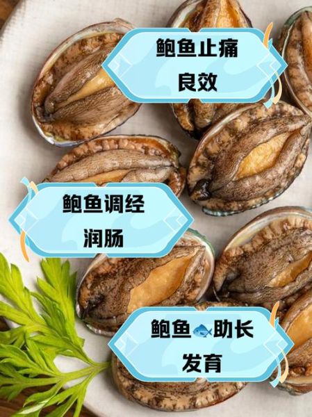 鲍鱼的营养价值有多高_孕妇能吃鲍鱼吗-第2张图片-山城妙识