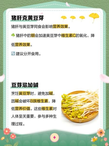 黄豆芽的营养价值_吃黄豆芽能减肥吗-第2张图片-山城妙识