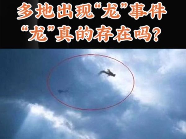 长江捕获15米真龙是真的吗_真龙现身长江事件真相-第1张图片-山城妙识