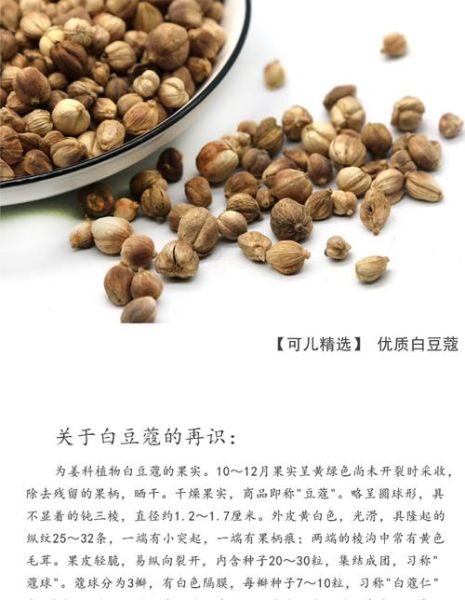 白蔻仁的功效与作用_白蔻仁怎么吃效果最好-第3张图片-山城妙识 白蔻仁的功效与作用_白蔻仁怎么吃效果最好-第3张图片-山城妙识