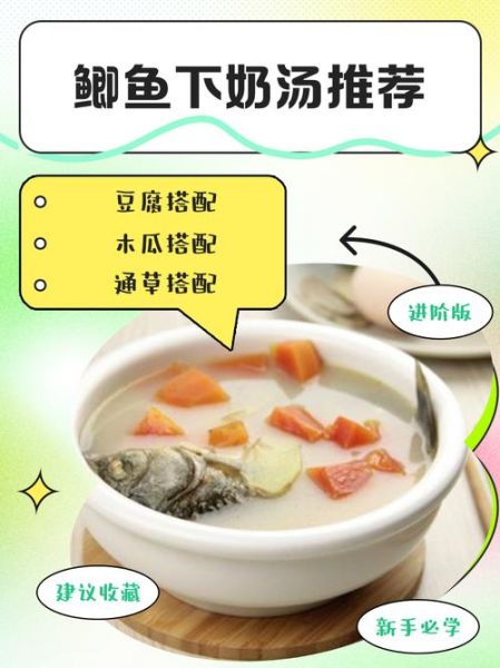 鲫鱼下奶汤的做法_鲫鱼汤怎么做下奶-第1张图片-山城妙识