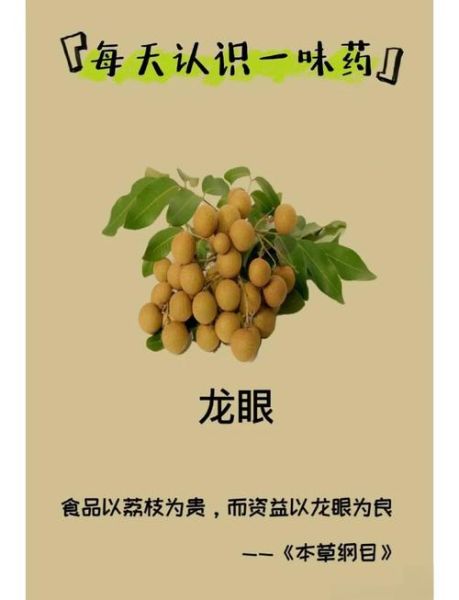 龙眼的功效与作用_龙眼主治什么病-第1张图片-山城妙识