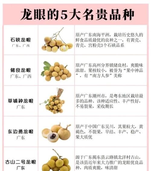 龙眼的功效与作用_龙眼主治什么病-第2张图片-山城妙识