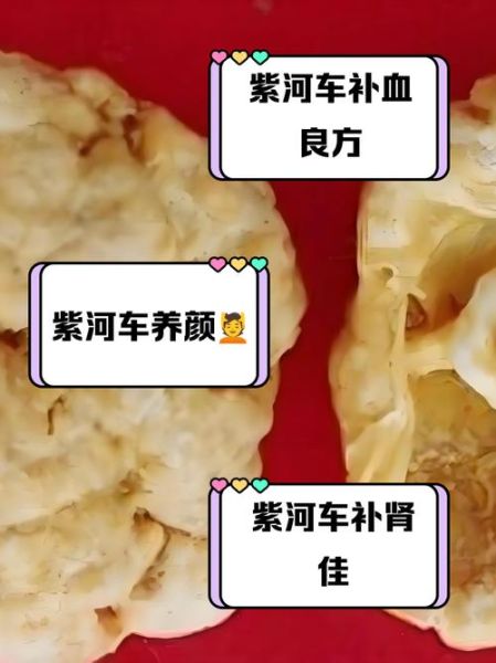 紫河车功效与作用_紫河车怎么吃效果最好-第3张图片-山城妙识