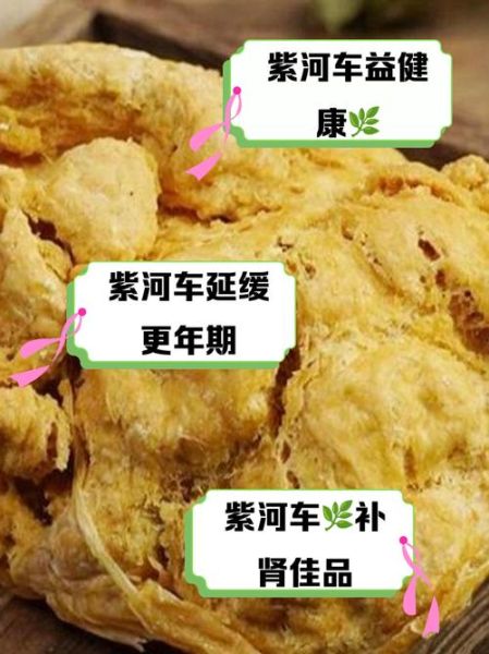 紫河车功效与作用_紫河车怎么吃效果最好-第1张图片-山城妙识
